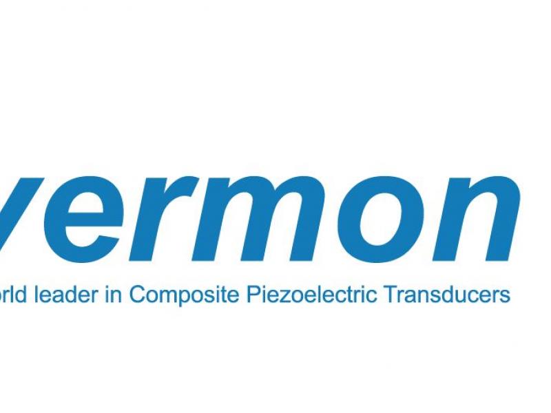 Reconstruction de l'entreprise "Vermon" | Avensia